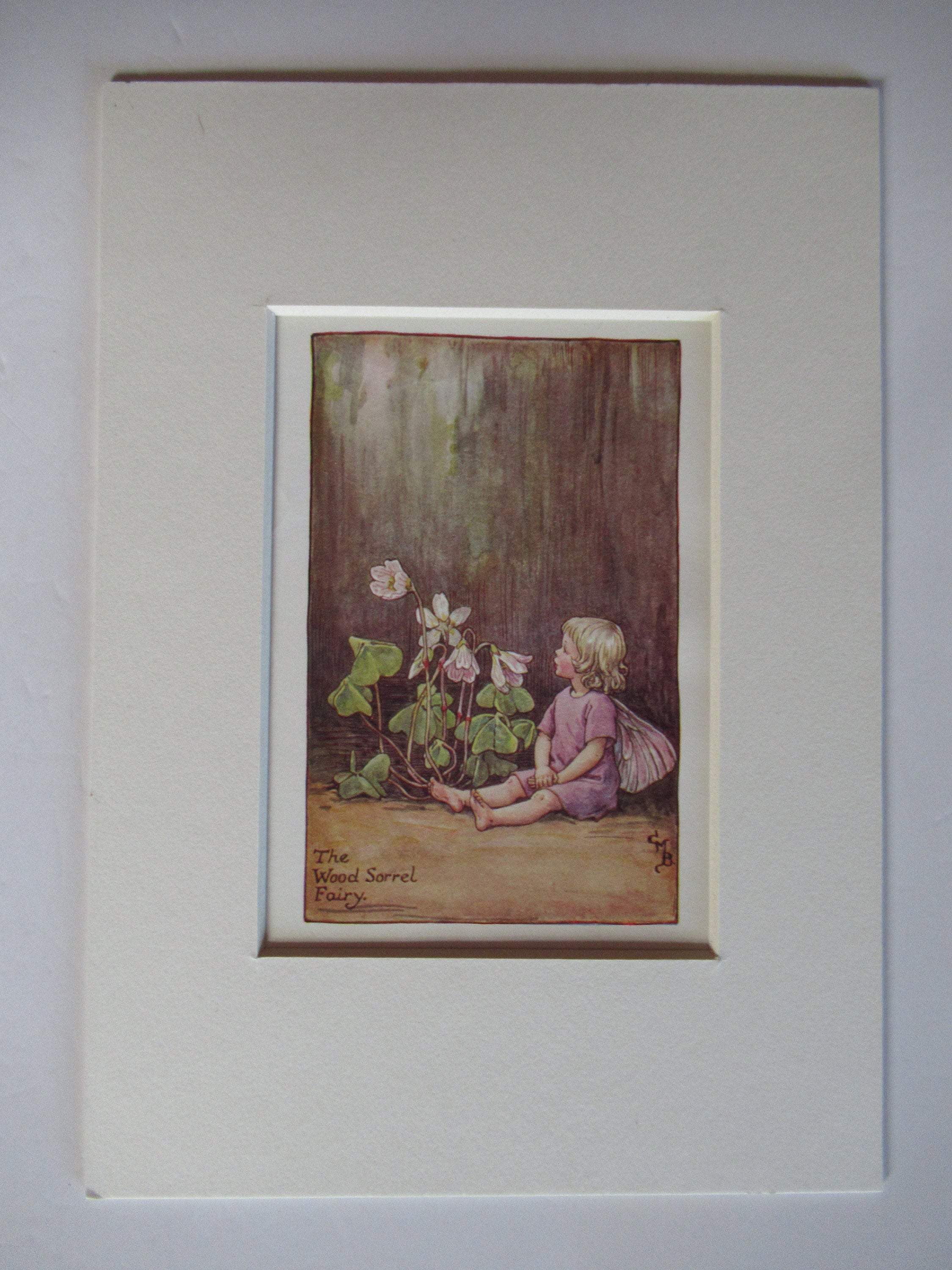 Flower Fairies/fairy: the WOOD SORREL FAIRY, Spring Fairy, Vintage ...