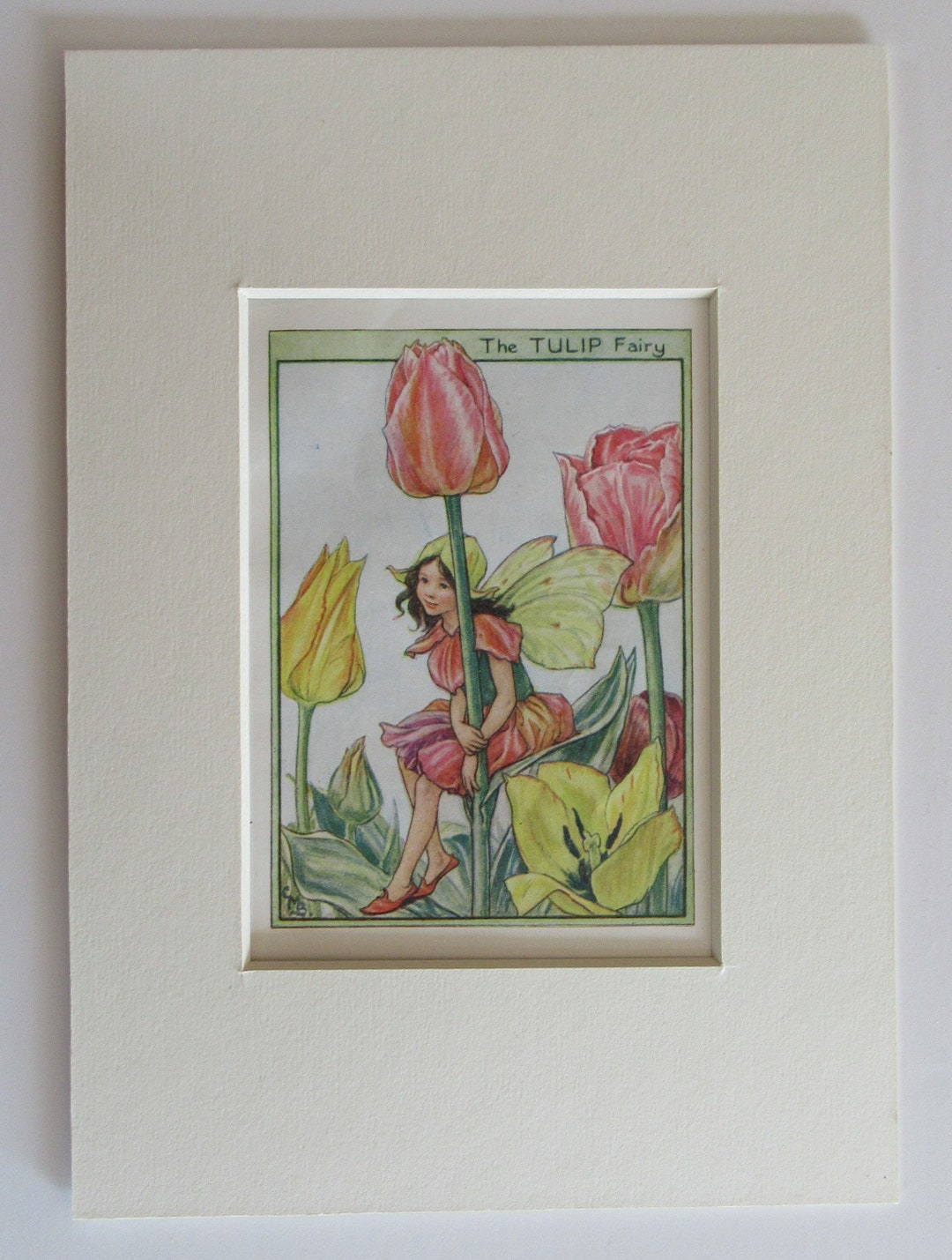 Flower Fairies/fairy: the TULIP FAIRY, Vintage Print, 1930's/40's, by ...