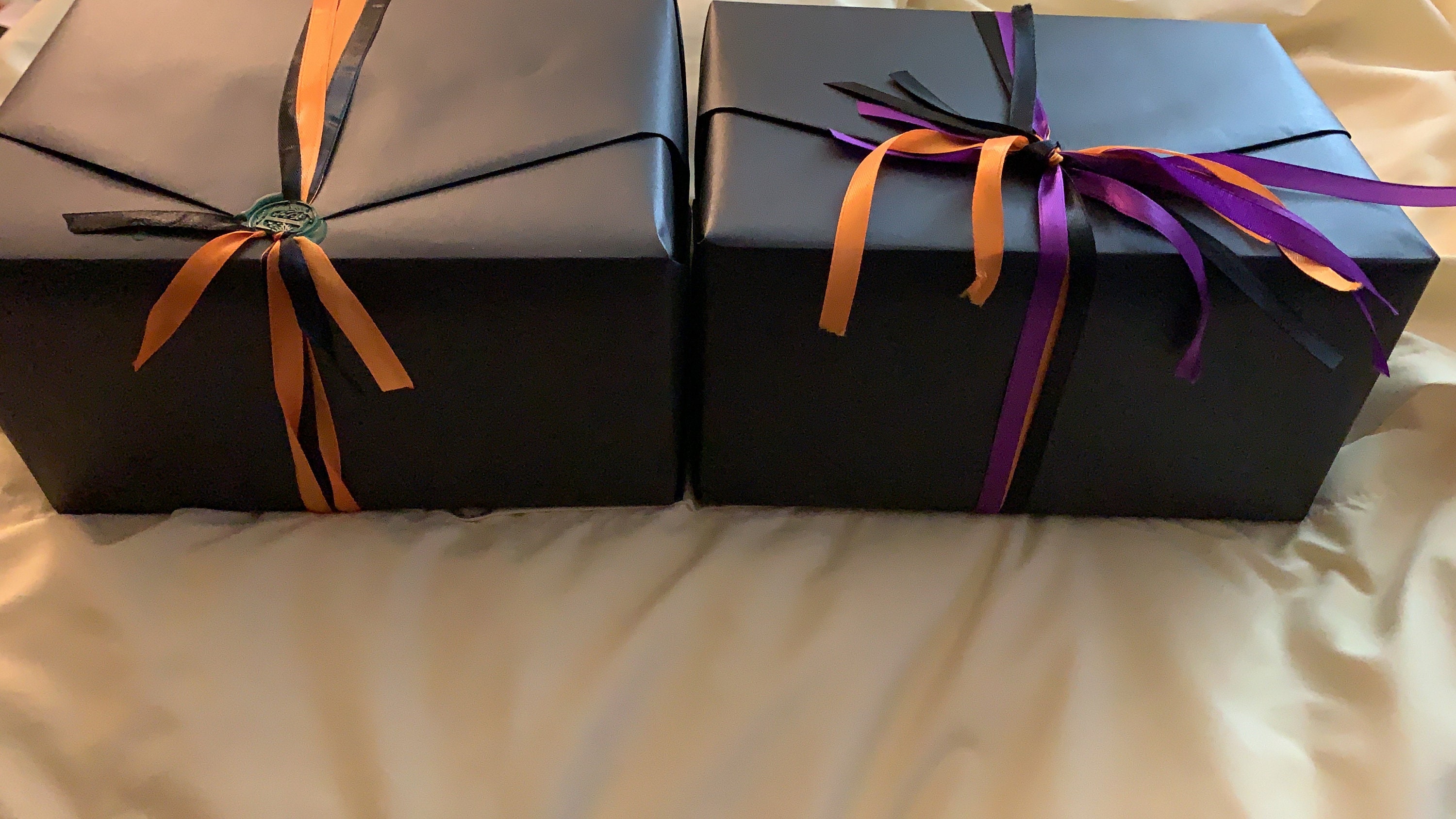 Horror Mystery Box Horror Art and Spooky Crafts - Etsy