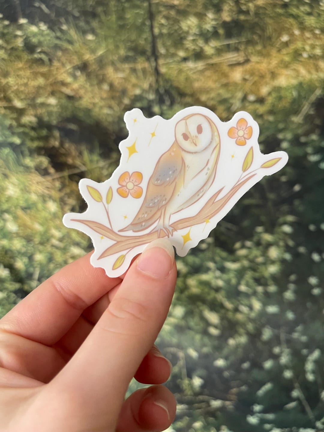 Barn Owl Vinyl Sticker | Owl Sticker | Owl Art | Bird Sticker | Bird ...