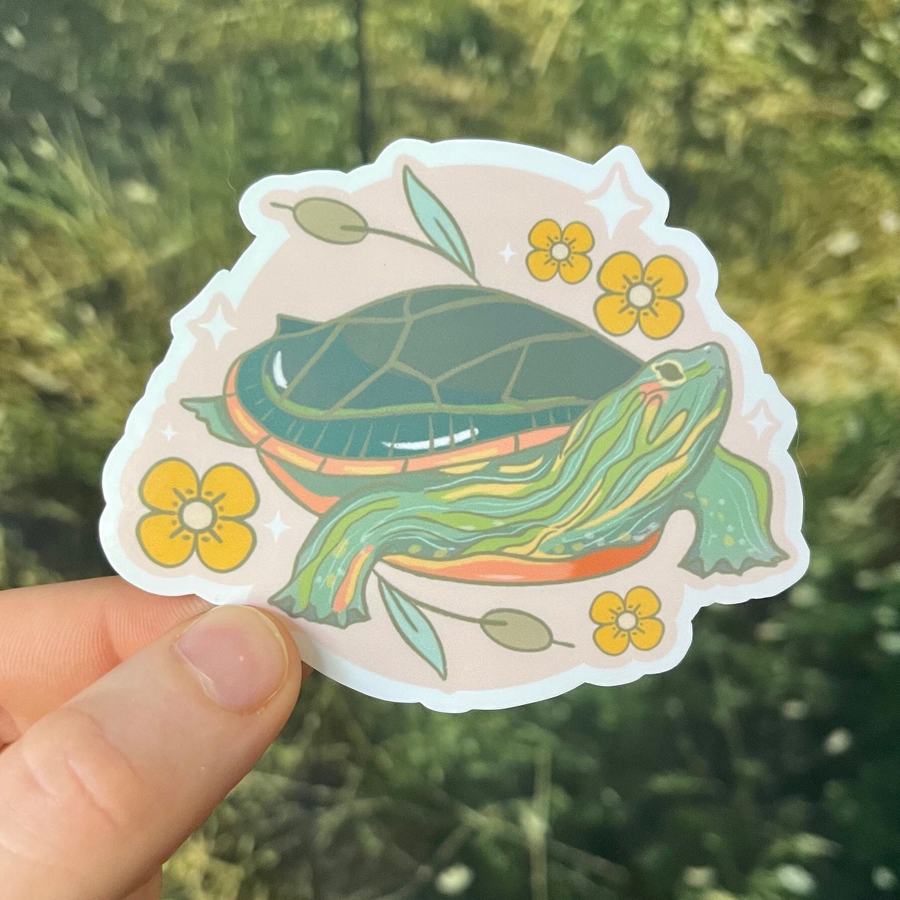 Turtle Sticker Painted Turtle Turtle Art Turtle Vinyl - Etsy