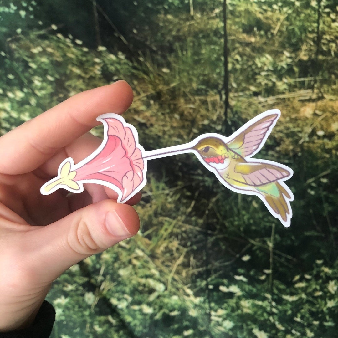 Hummingbird Sticker| Hummingbird and Flower Sticker | Waterproof Glossy ...
