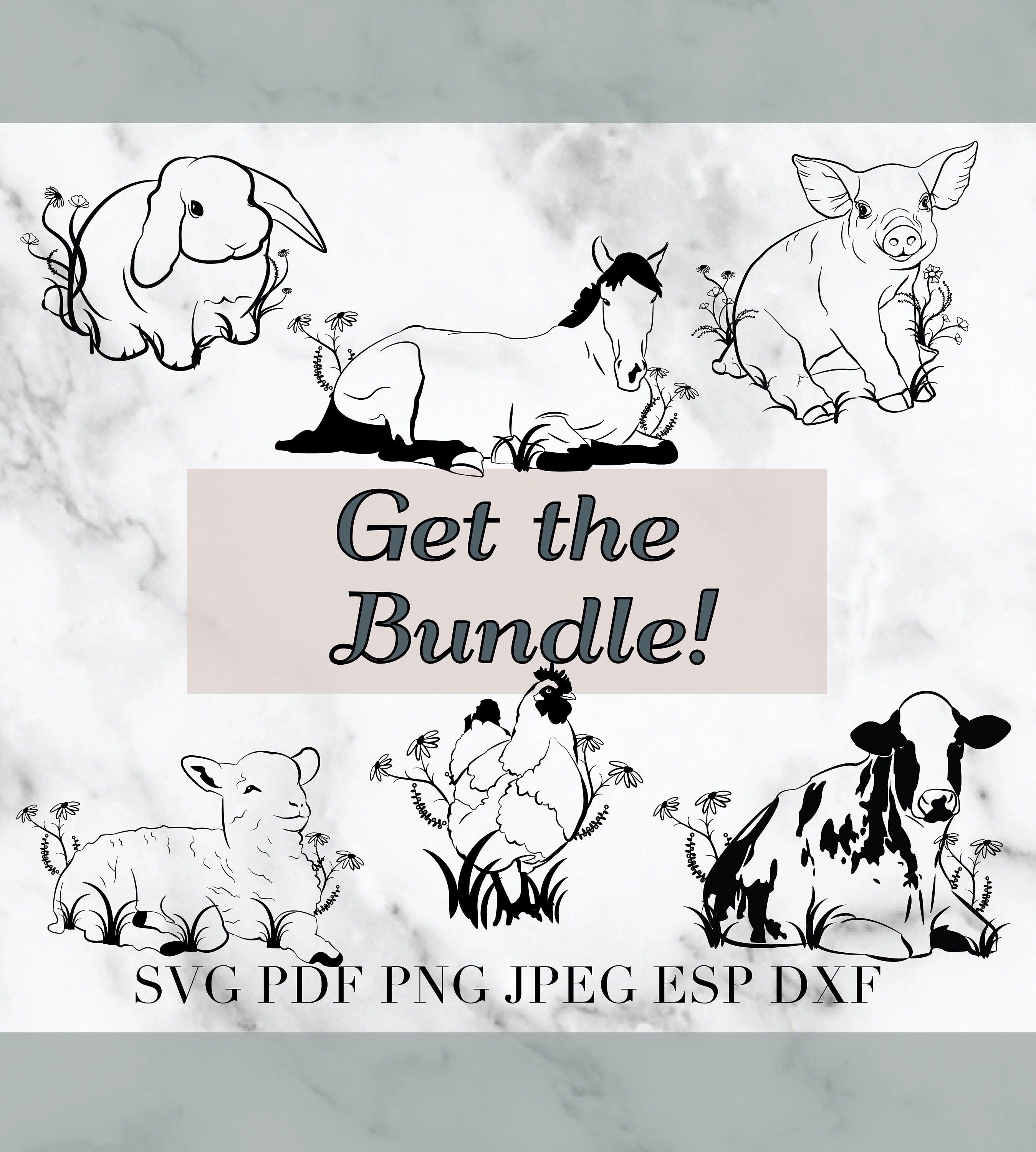 Cow Svg, Cute Cow Svg, Cow Sublimation Design, Farm Svg, Farm Animal ...