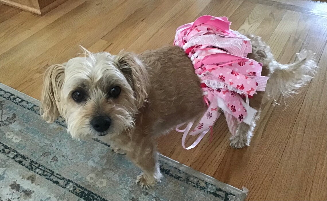 Dog Tutu Puppy Dog Tutu for Dog Fabric Tutu Woof - Etsy