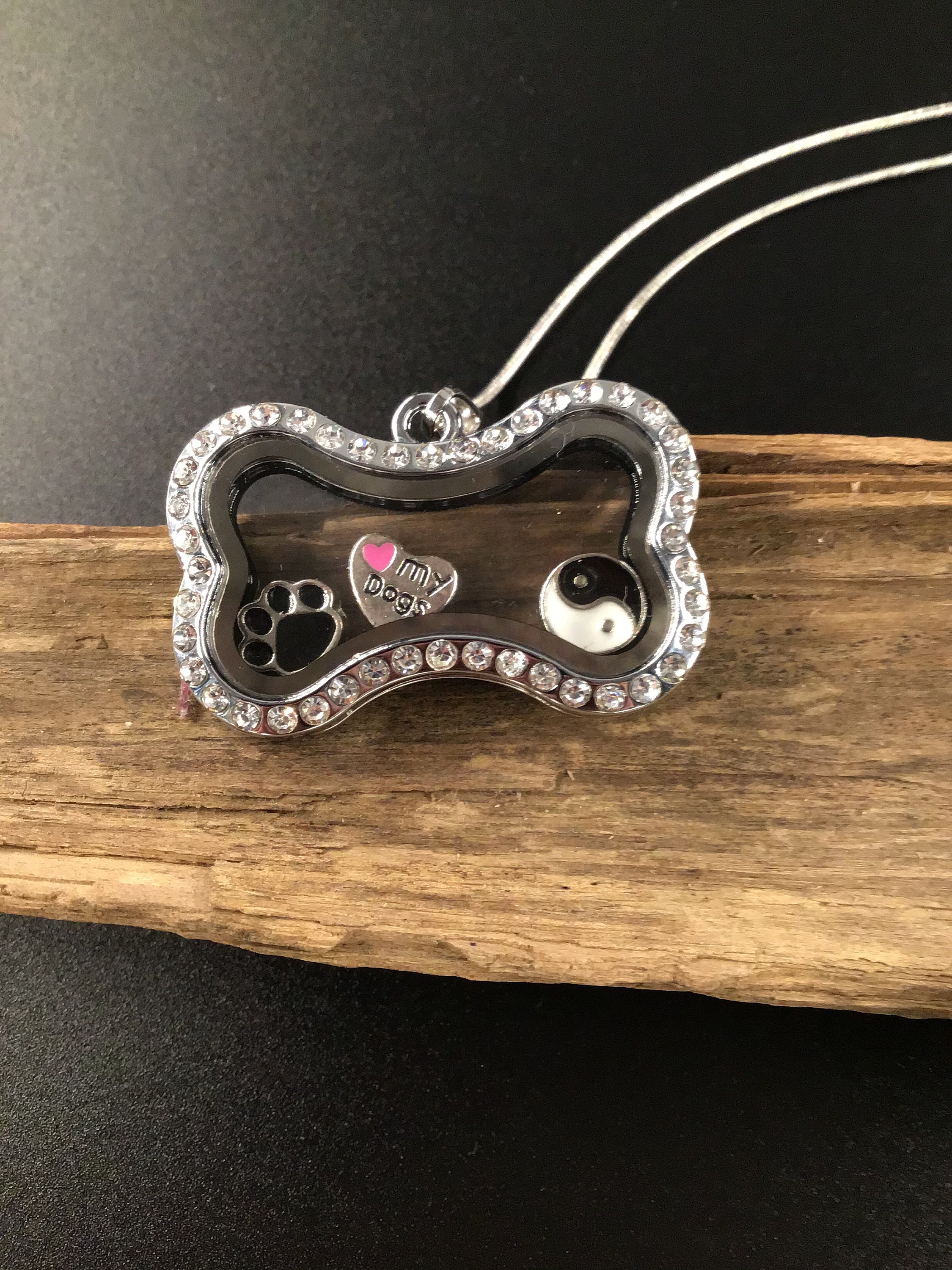 Bone Shape Glass Stainless Steel Locket for Charms Fur - Etsy