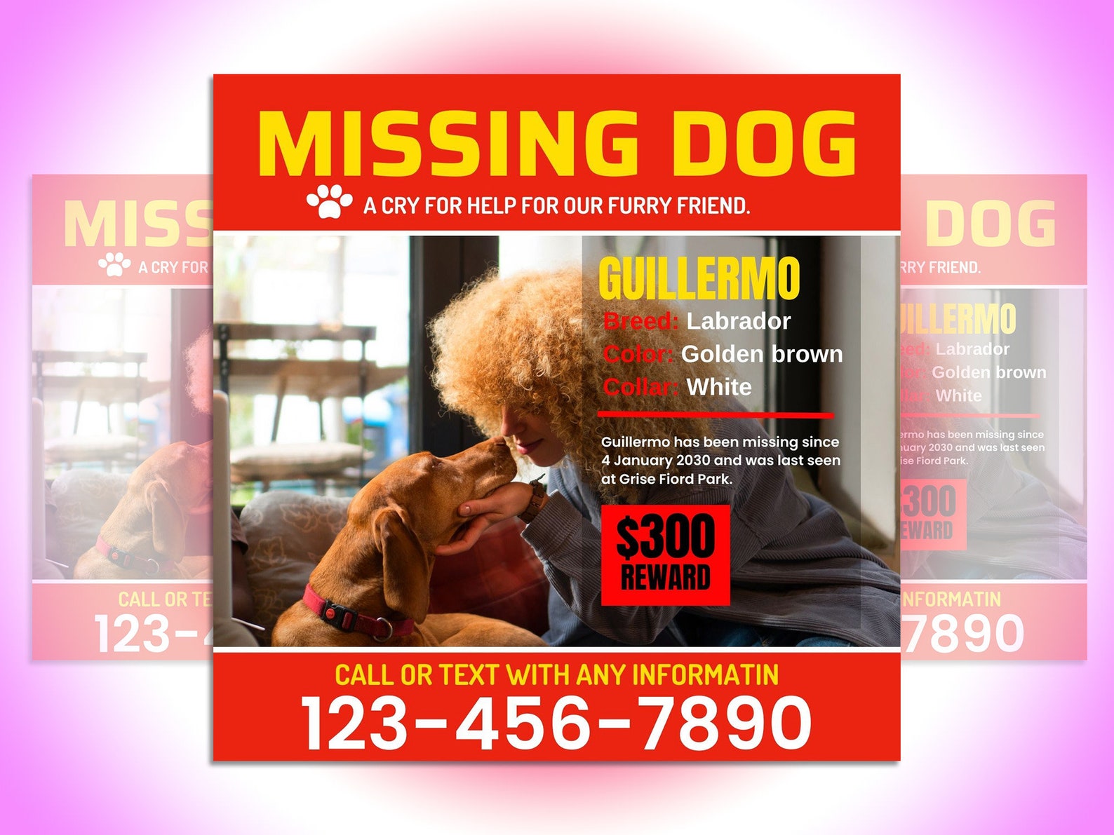 Missing Dog Flyer Canva Template for DIY Social Media Marketing. - Etsy