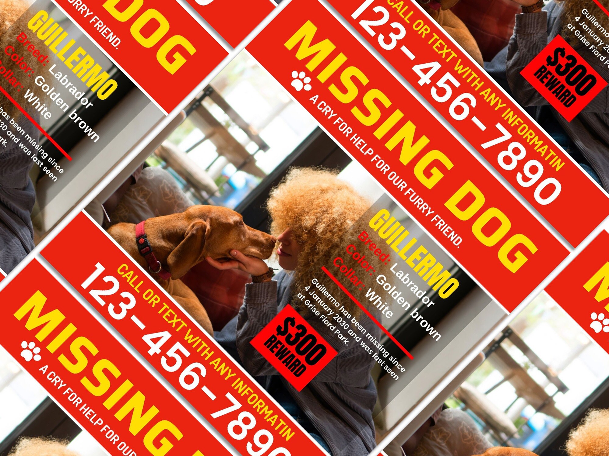 Missing Dog Flyer Canva Template for DIY Social Media Marketing. - Etsy
