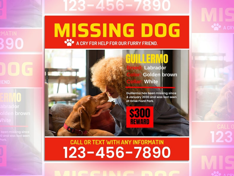 Missing Dog Flyer Canva Template for DIY Social Media Marketing. - Etsy