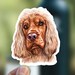 English Cocker Spaniel Sticker, Realistic Dog Vinyl Decal, Dog Lover ...