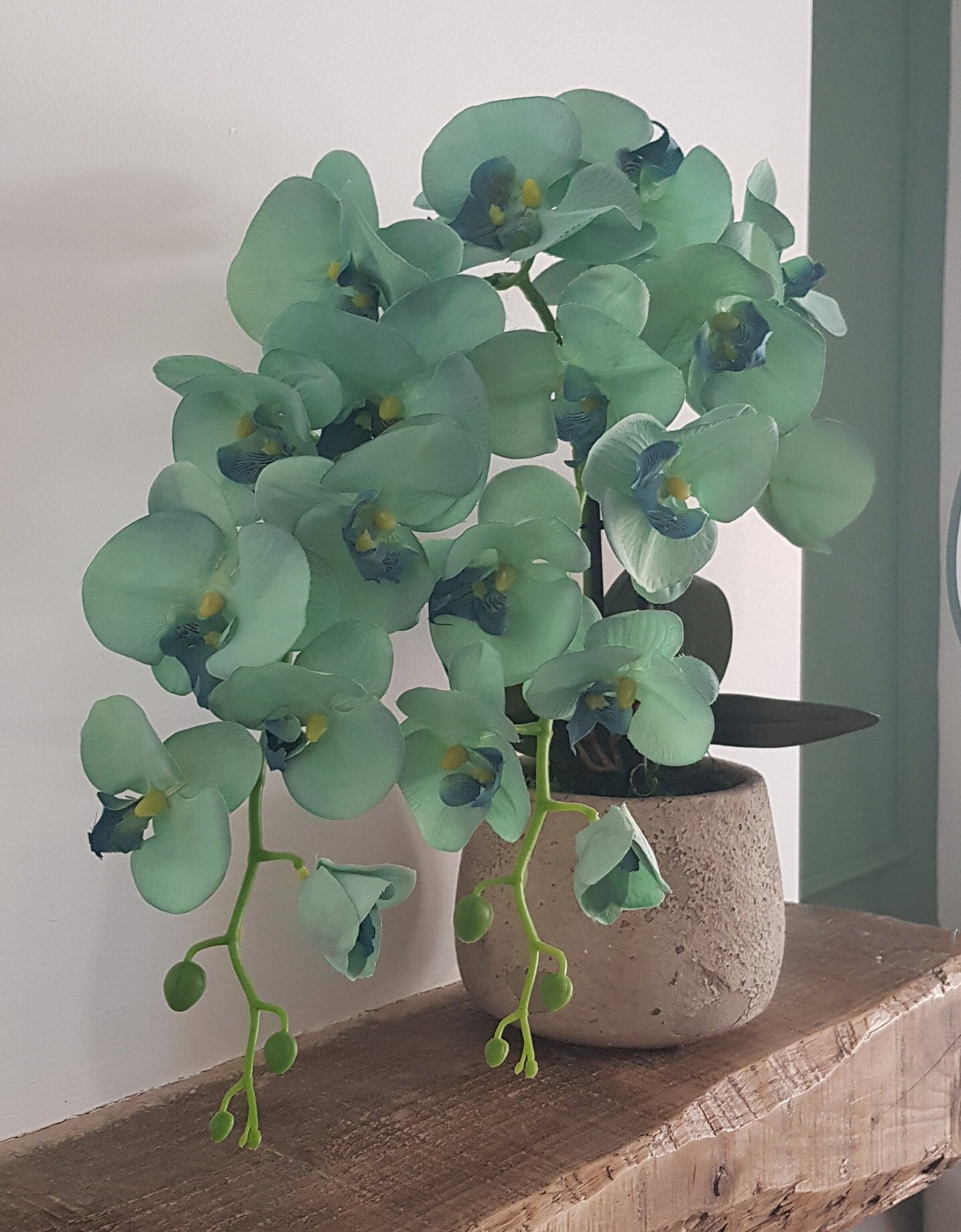 Jade 2 Stem Orchid - Etsy
