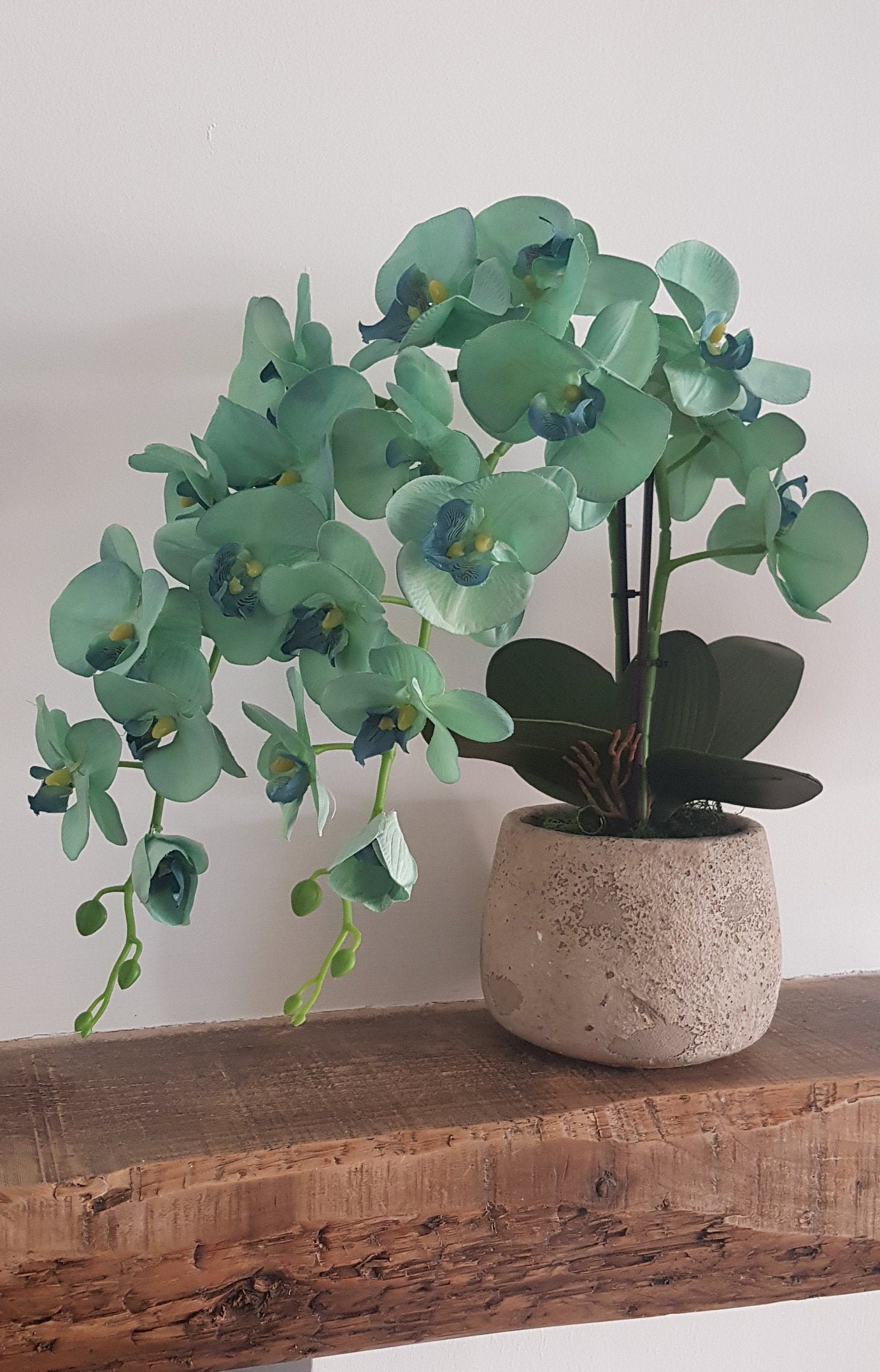 Jade 2 Stem Orchid - Etsy