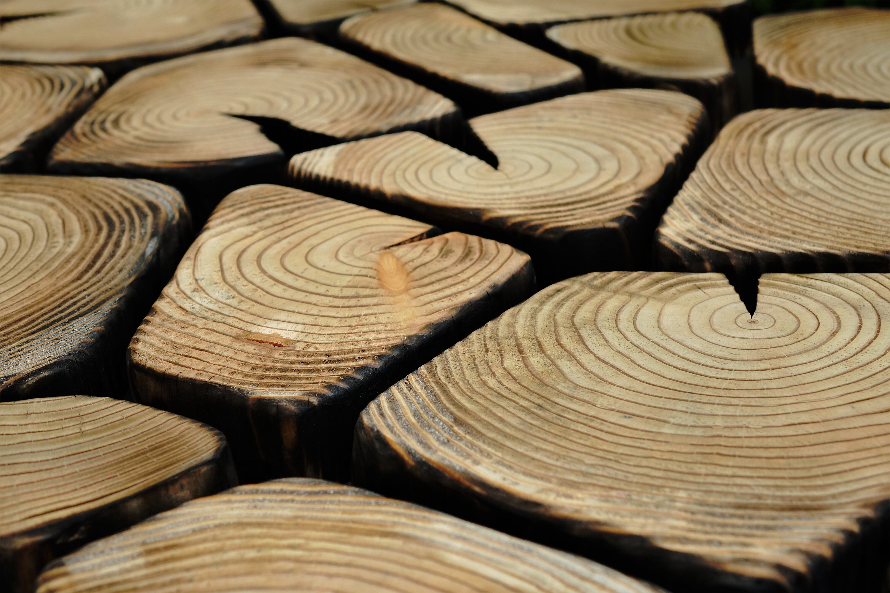 Burned Wood Wall Art Large, Burnt Tree Slabs Wall Panel, Mosaic Wooden ...