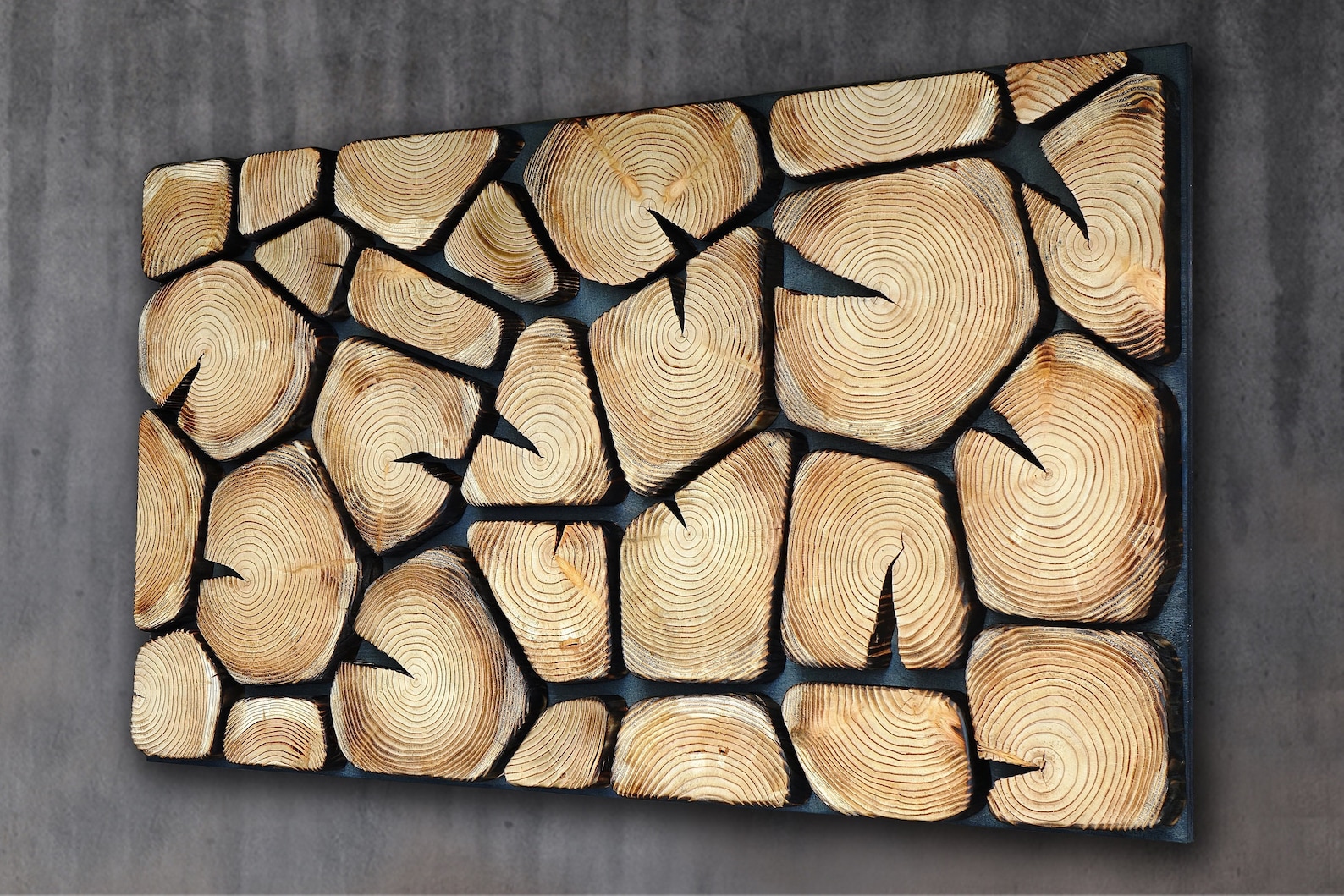 Burned Wood Wall Art Large Burnt Tree Slabs Wall Panel - Etsy