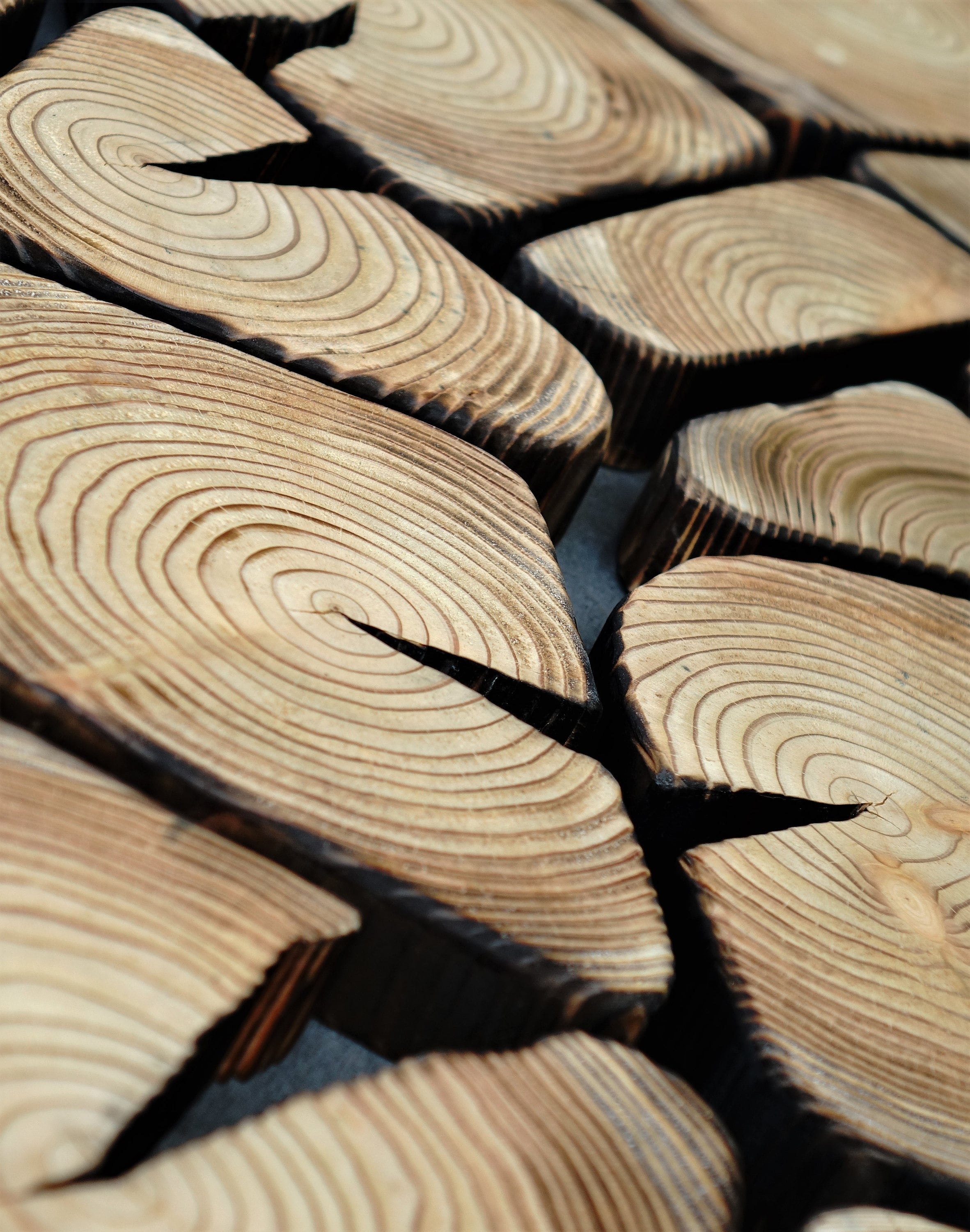 Burned Wood Wall Art Large Burnt Tree Slabs Wall Panel - Etsy