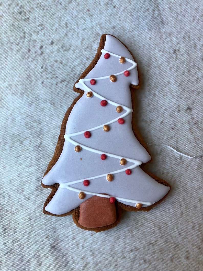 Winter or Christmas Gingerbread Cookies Original Winter Gift - Etsy