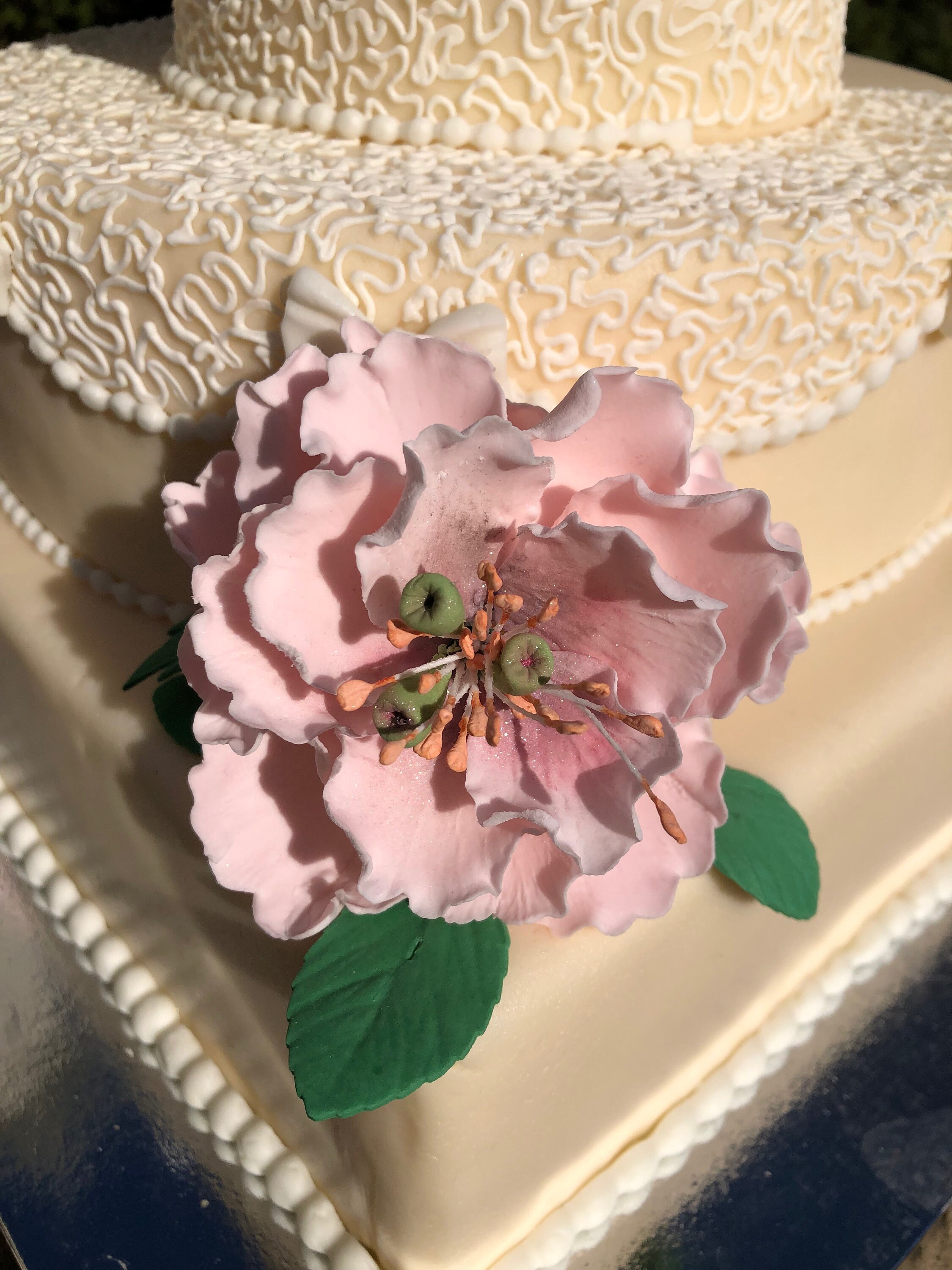 Edible Sugar Peonies - Etsy