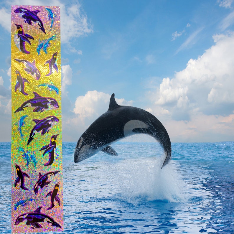 90s Vintage Lisa Frank MAX SPLASH the Orca Killer Whale - Etsy Ireland