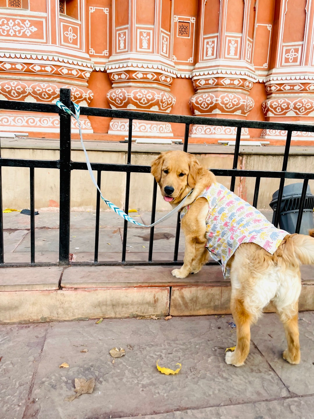 Dog Kurta, Dog Indian Outfit, Dog Outfit, Dog Indian Block Print Outfit ...