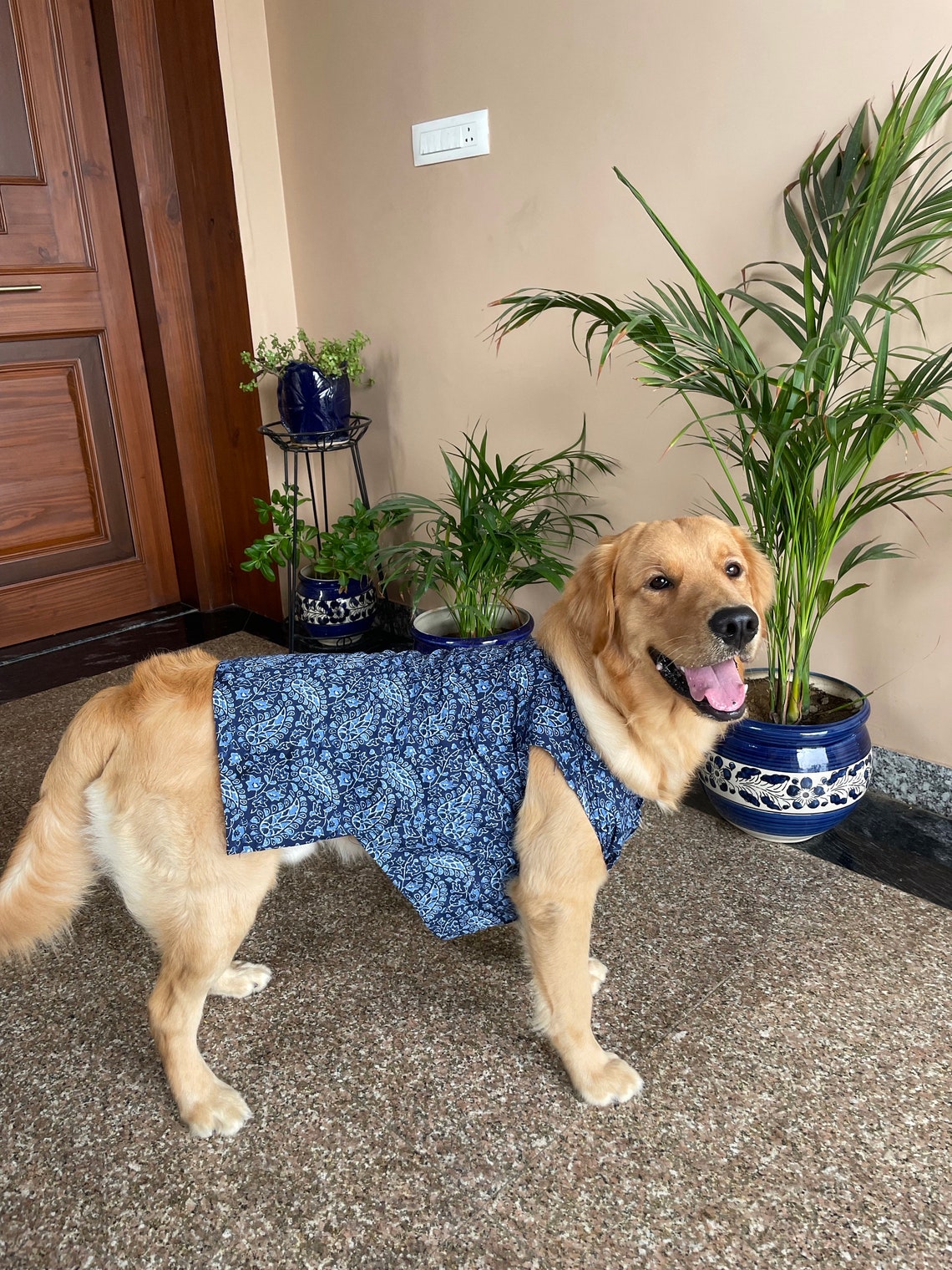 Dog Kurta, Dog Indian Outfit, Dog Outfit, Dog Indian Block Print Outfit ...