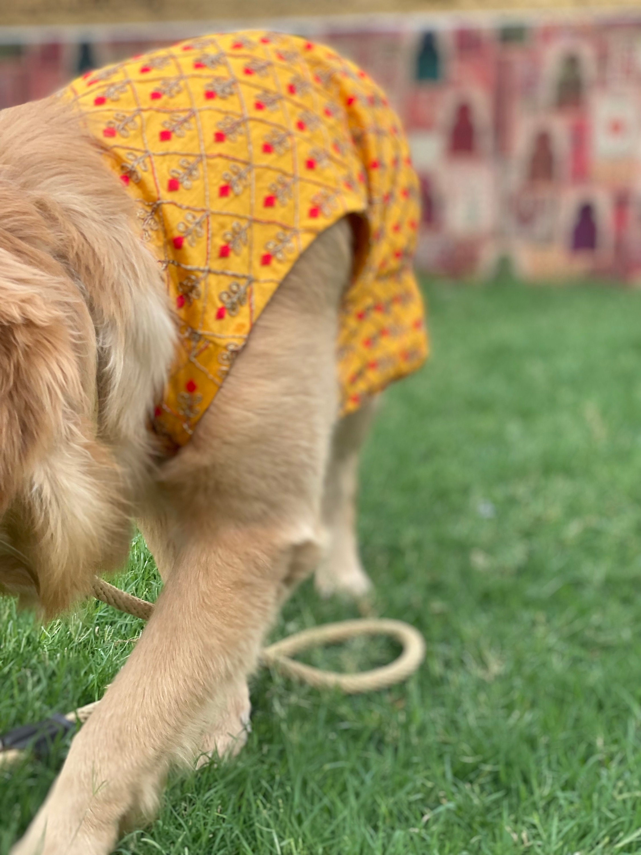 Dog Sherwani: Indian Wedding Outfit, Luxury Pet Clothing - Etsy