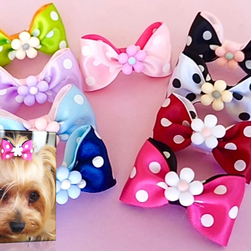 Rubber Bands for Dogs Hair - Etsy