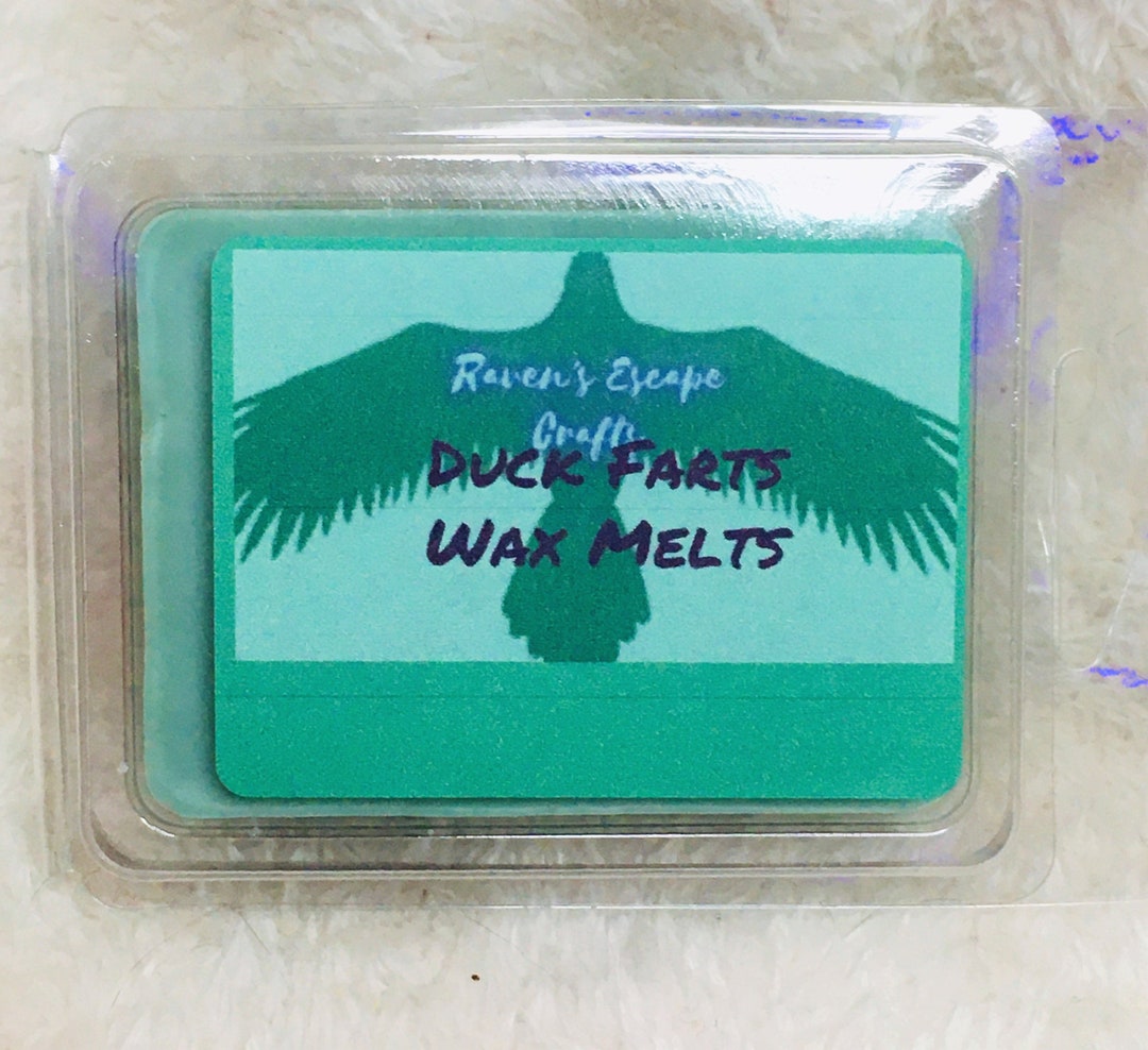Duck Fart Scented Wax Melts: Cranberry Wild Berry Aroma, Gag Gift - Etsy