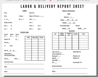 Labor and Delivery Report Sheet Home & Living Office & School Supplies ...