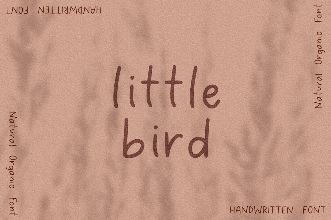 Little Bird Font, Hand Drawn Font, Handwritten Font, Instant Download ...