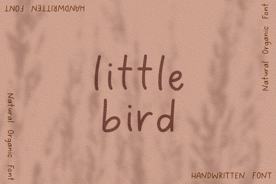 Little Bird Font Hand Drawn Font Handwritten Font Instant - Etsy