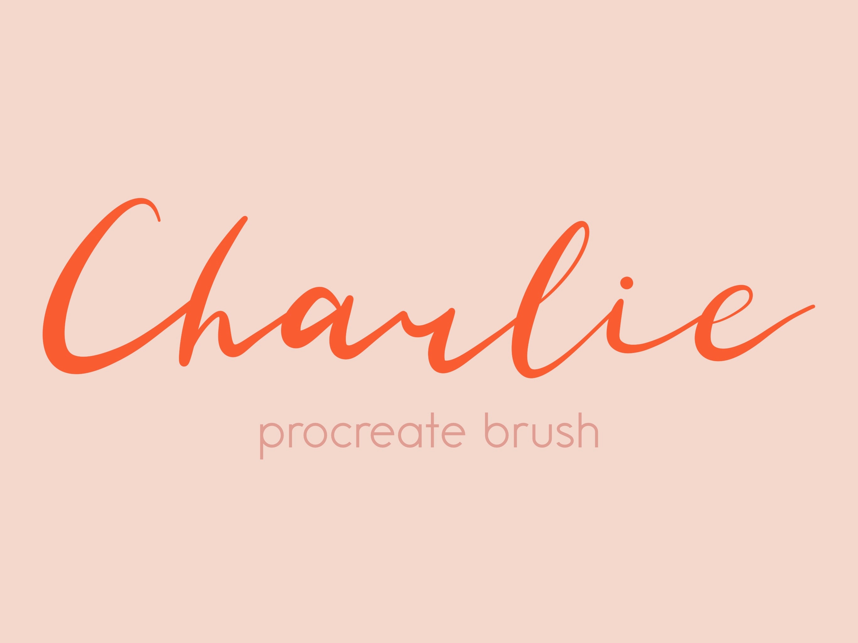 Charlie Lettering Procreate Brush Calligraphy Brush Digital | Etsy