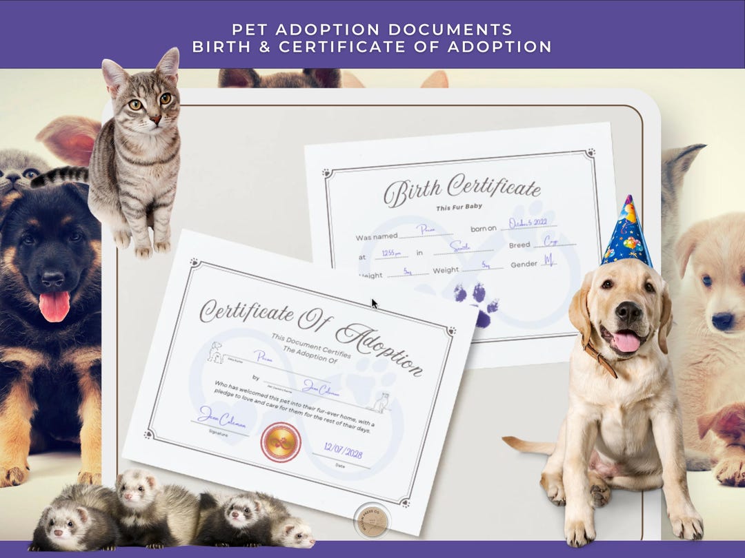 Pet Adoption Certificate: Customizable Keepsake (digital Download) - Etsy
