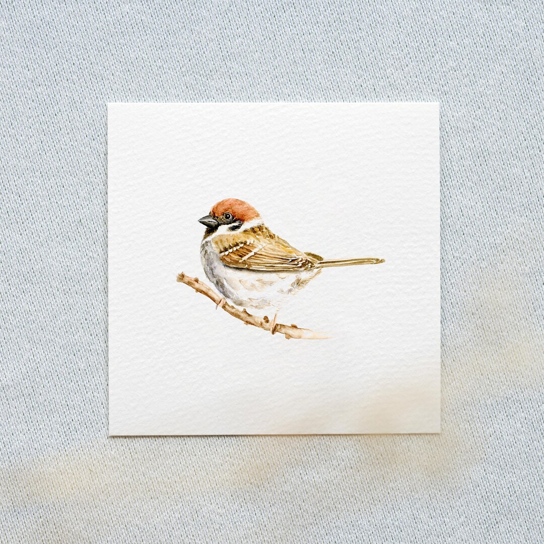 A Small Sparrow on a Branch - Art Print 10 X 10 Cm From the Original ...