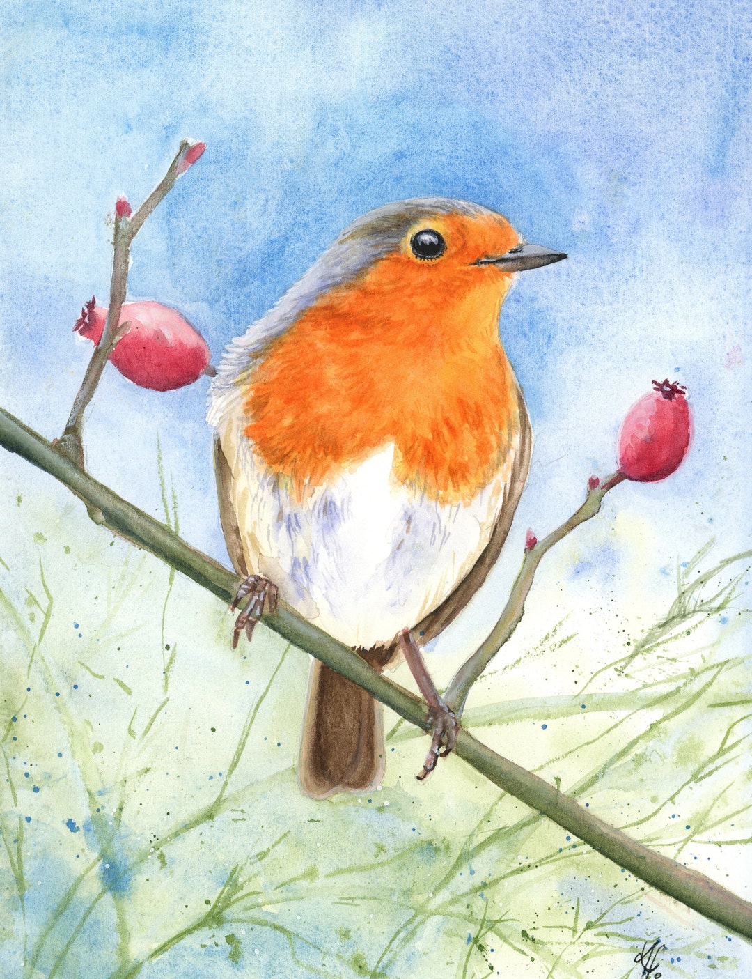 ORIGINAL Hand-painted Watercolor - Robin - Bird Art - Painting - Bird ...