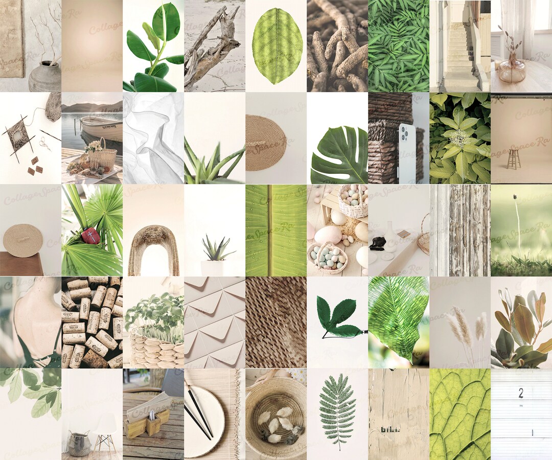Nature Aesthetic Wall Collage Kit digital Download 70pcs - Etsy Canada