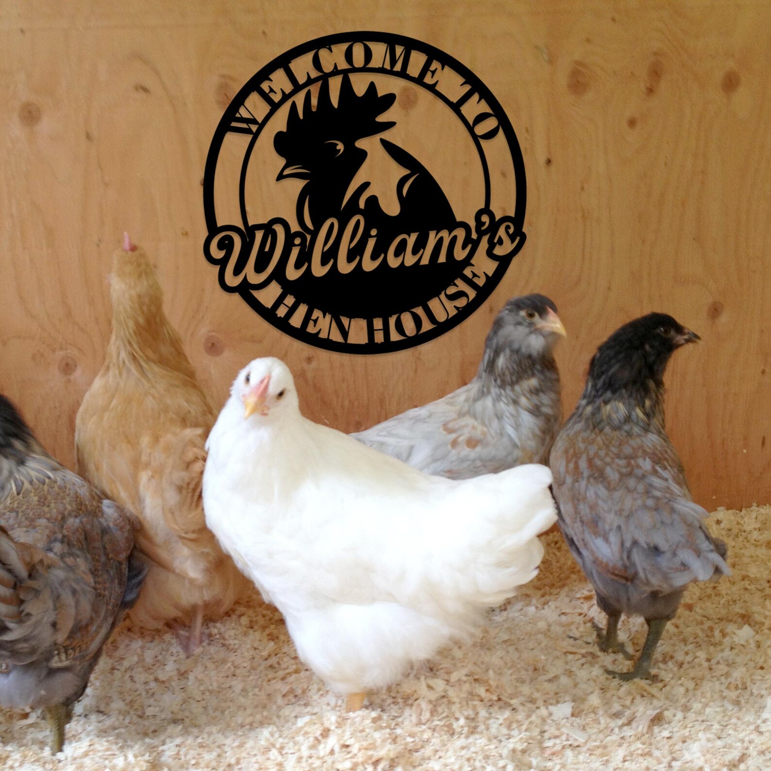 Custom Chicken Farm Metal Sign Hen House Sign Metal Chicken Coop Sign ...