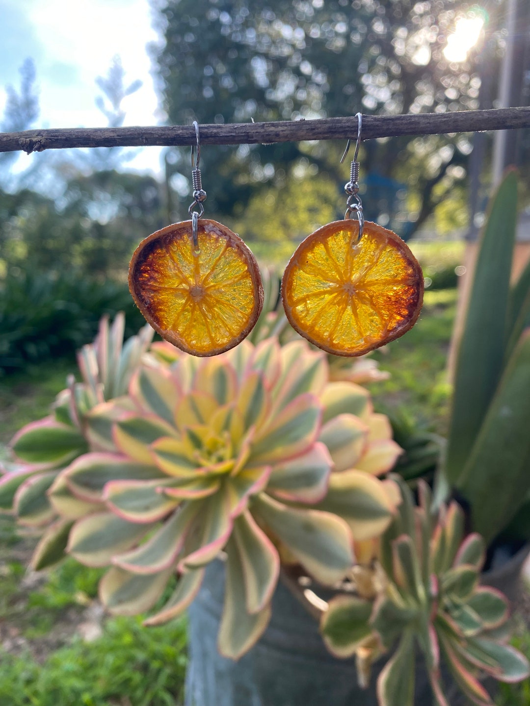 Citrus Sunshine // Real Clementine Fruit Earrings // Kenzi Autumn ...