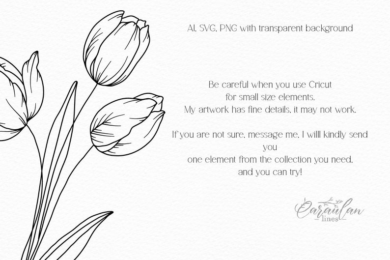 Tulips Line Art, Tulip SVG, Tulips Clipart, Botanical Clipart Svg, Hand Drawn Tulip Flowers ...