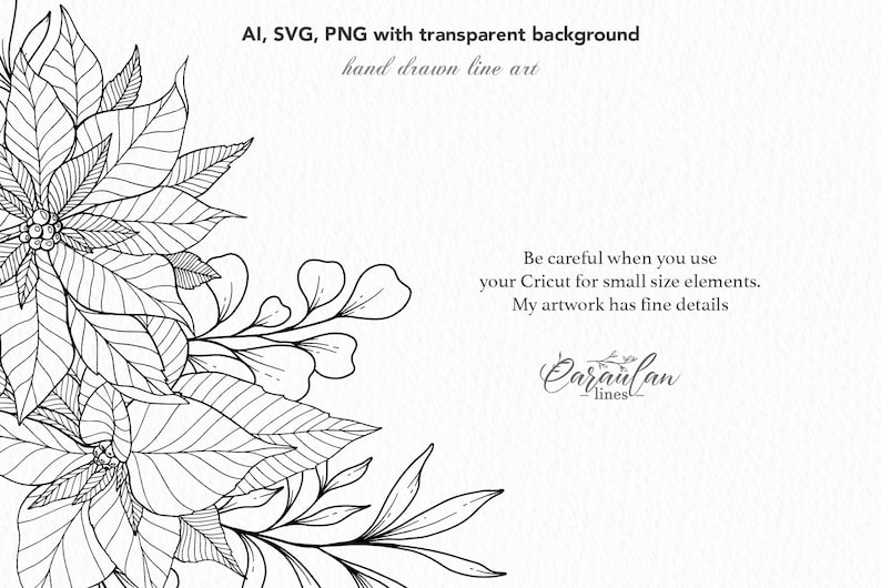 Christmas Svg, Christmas Line Art SVG, Hand Drawn Poinsettia Line Art ...
