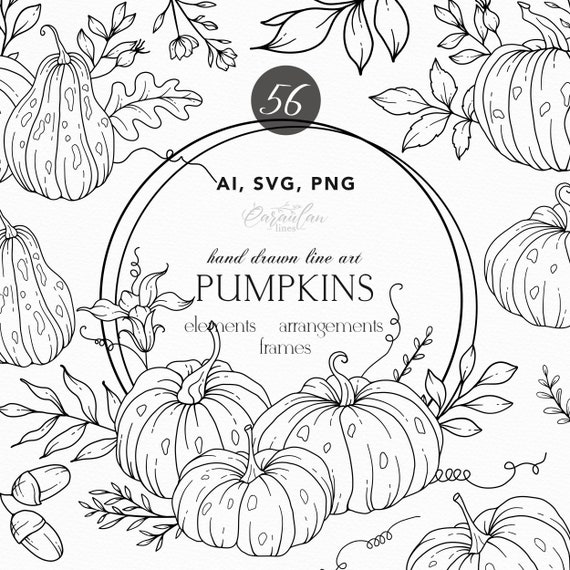 Thanksgiving Pumpkin Drawings