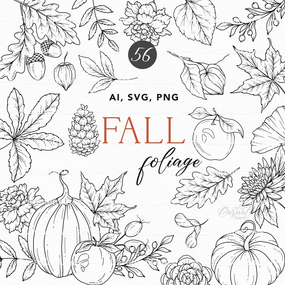 Fall Foliage SVG Clipart: Botanical Line Art (digital Download) - Etsy