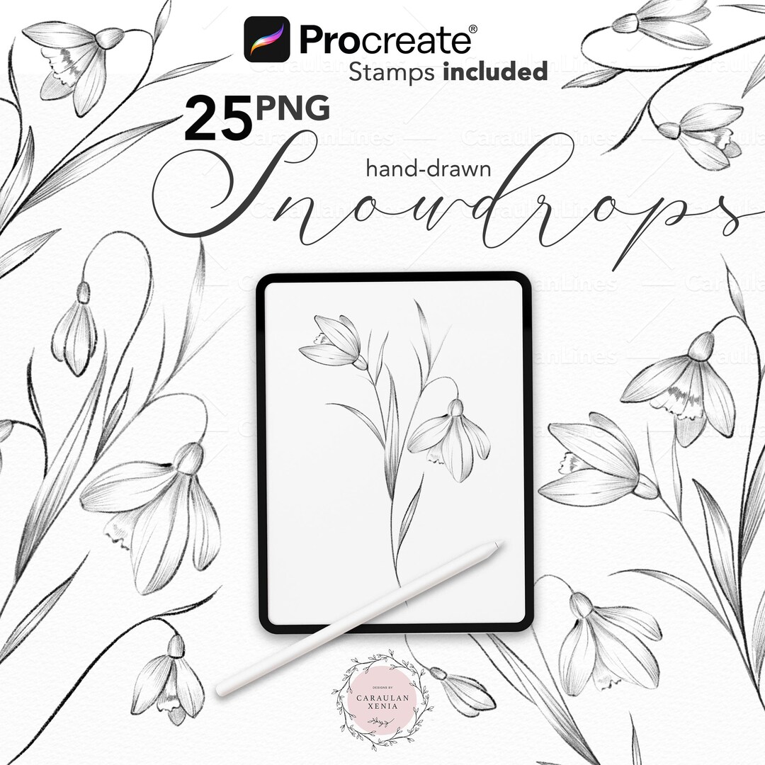 Procreate Snowdrop Floral Stamp Brush Set: Botanical Line Art (digital ...