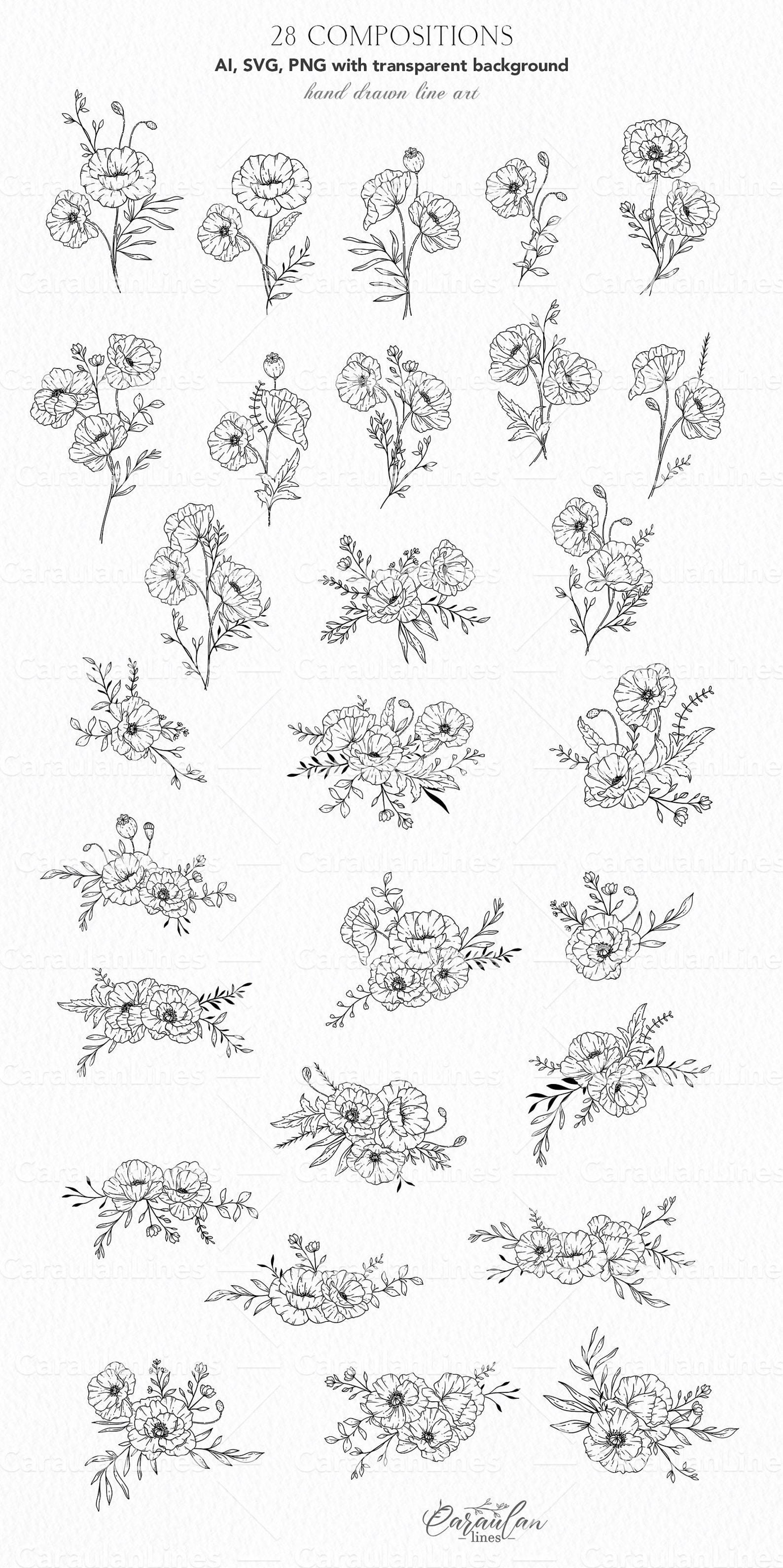 Poppy Flower Line Art Clipart, Botanical Clipart SVG, Hand Drawn ...
