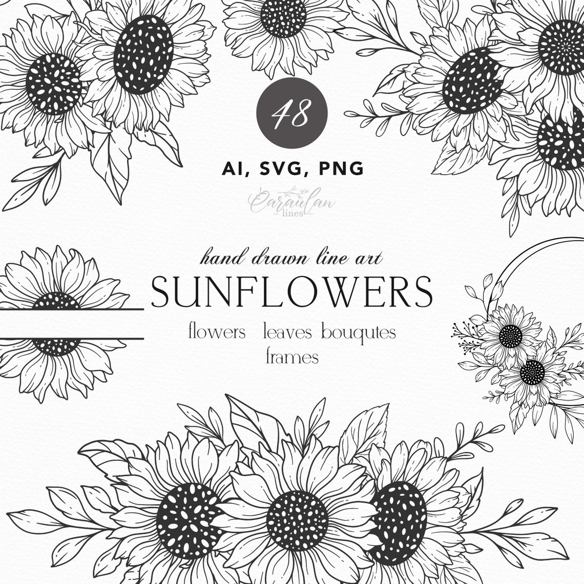 Sunflowers Svg Half Sunflower Svg Sunflower Line Art Hand Drawn