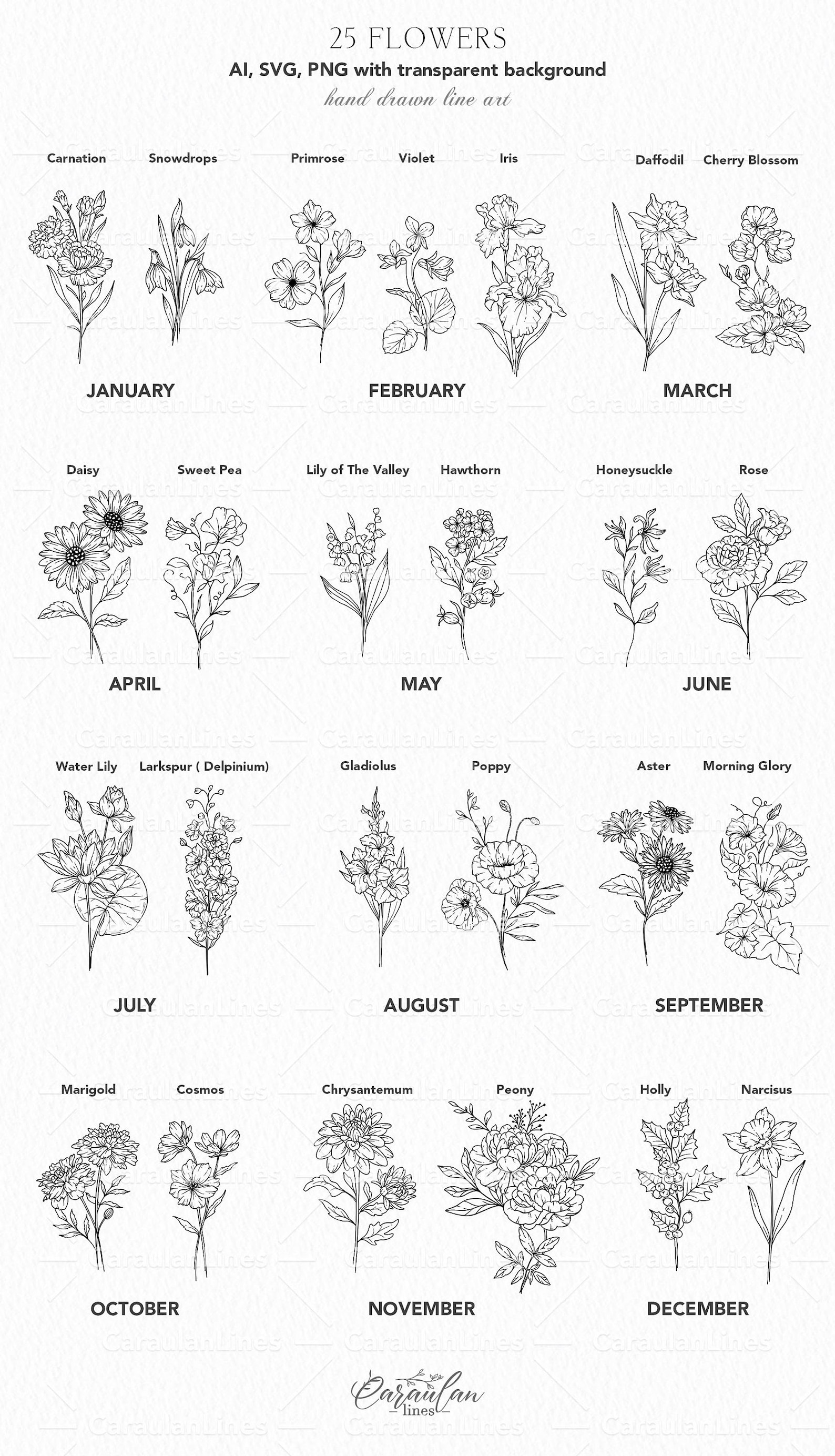 Birth Month Flowers SVG Bundle, Birth Flowers Clipart, Birth Flowers ...