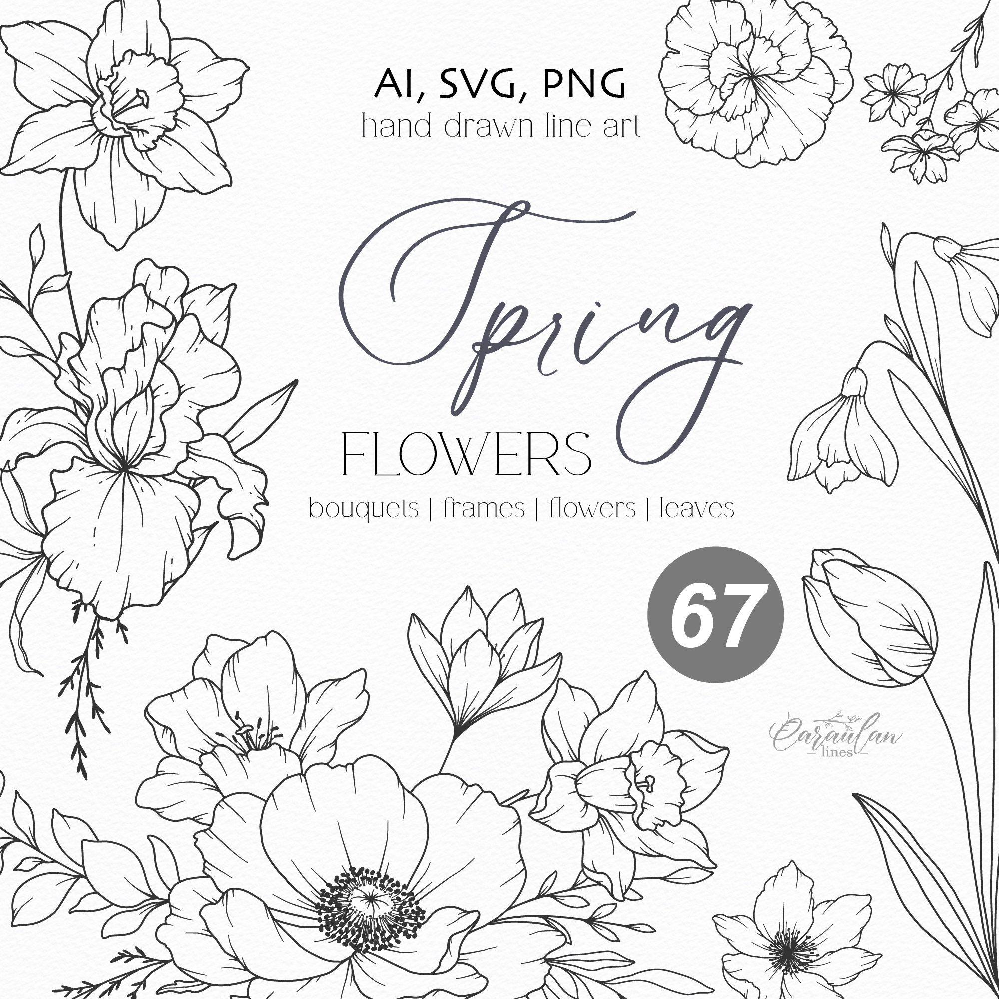 Floral Line Art, Spring Flowers SVG, Spring Flowers Clipart, Botanical ...