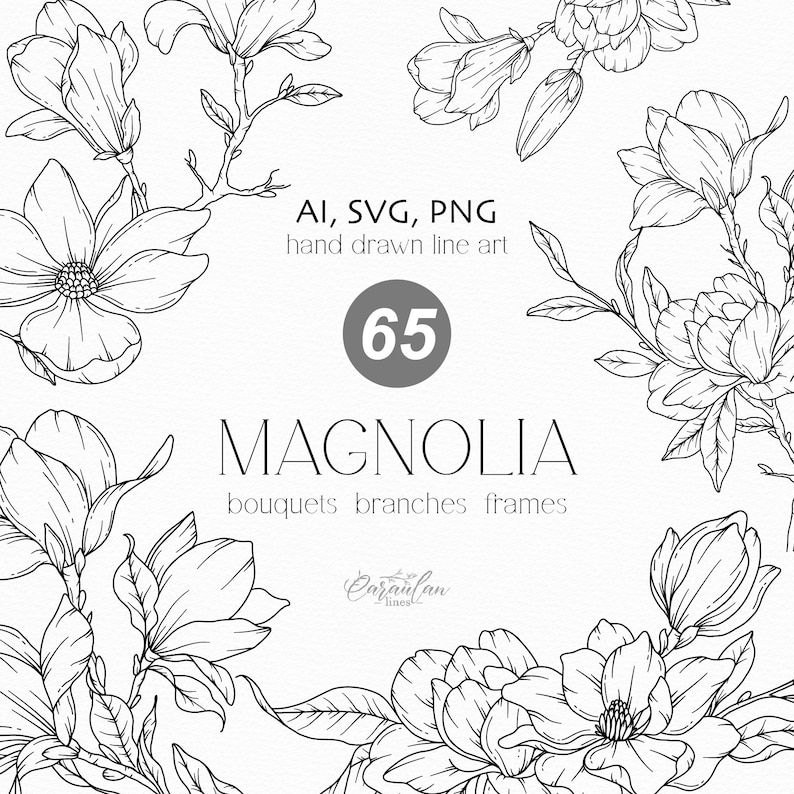 Magnolia SVG Bundle – Hand Drawn Floral Line Art. Botanical SVG Files ...