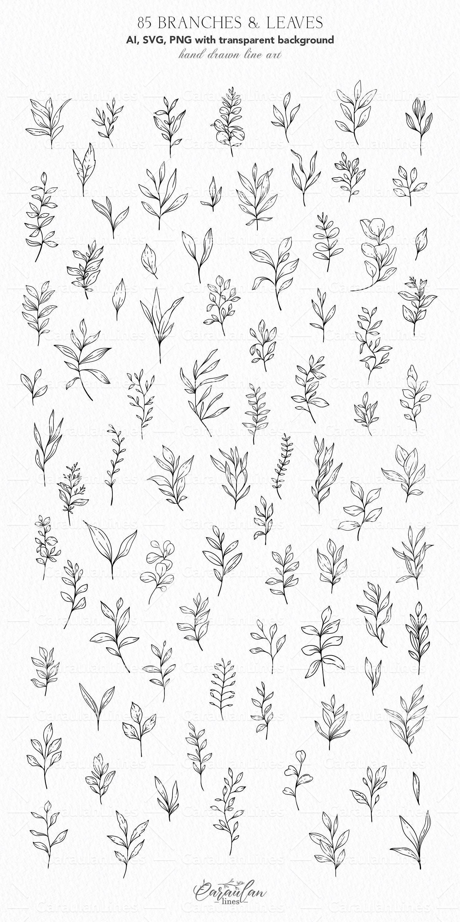 Greenery Line Art Botanical Clipart SVG Hand Drawn Greenery - Etsy