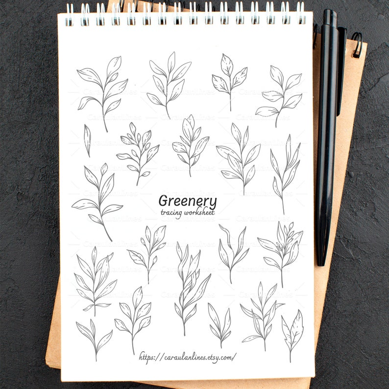 Flower Tracing Worksheet, Flower Tracing Guide, How to Draw Flowers ...