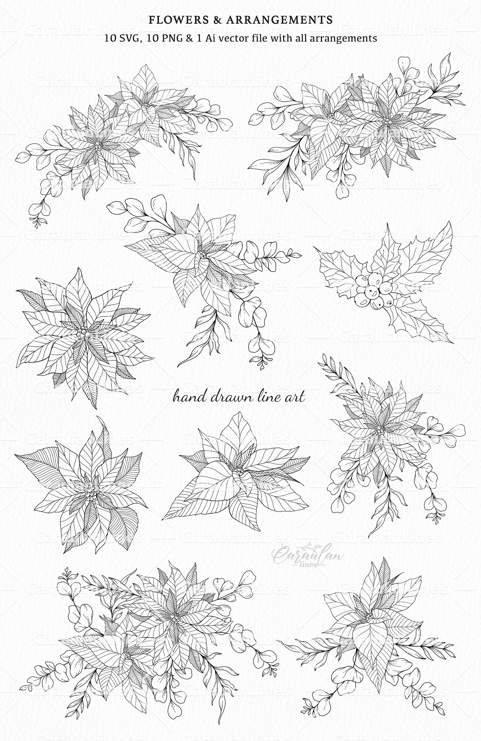 Christmas Svg, Christmas Line Art SVG, Hand Drawn Poinsettia Line Art ...