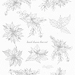 Christmas Svg, Christmas Line Art SVG, Hand Drawn Poinsettia Line Art ...